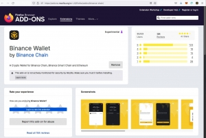 Setting Up a Binance Chain Wallet - New To Crypto Podcast